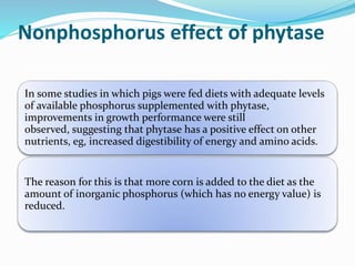 Phytase presentation a | PPTX