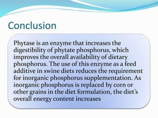 Phytase presentation a | PPTX