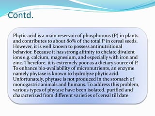 Phytase presentation a | PPTX