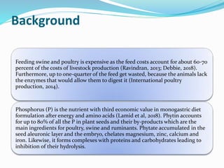 Phytase presentation a | PPTX