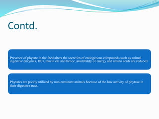 Phytase presentation a | PPTX