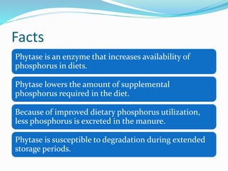 Phytase presentation a | PPTX