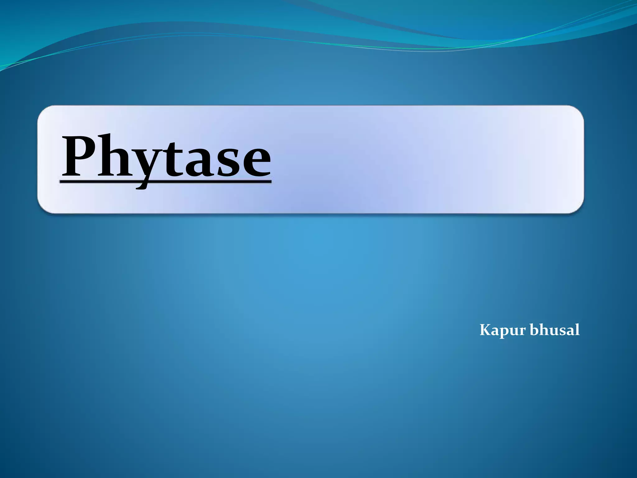 Phytase presentation a | PPTX
