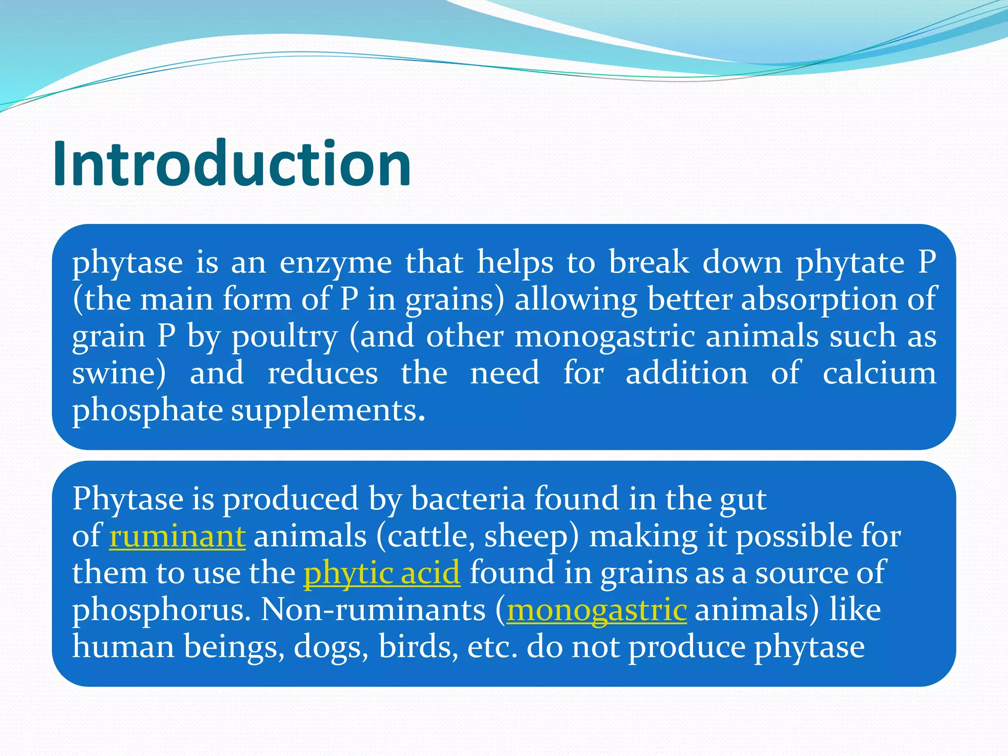 Phytase presentation a | PPTX