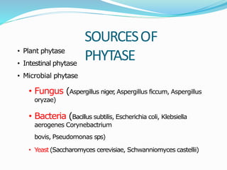 Phytase presentation a | PPTX