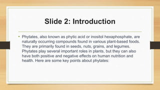 Phytate - IC Fitness Club.pptx