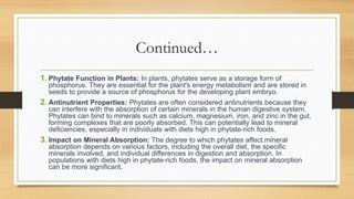 Phytate - IC Fitness Club.pptx