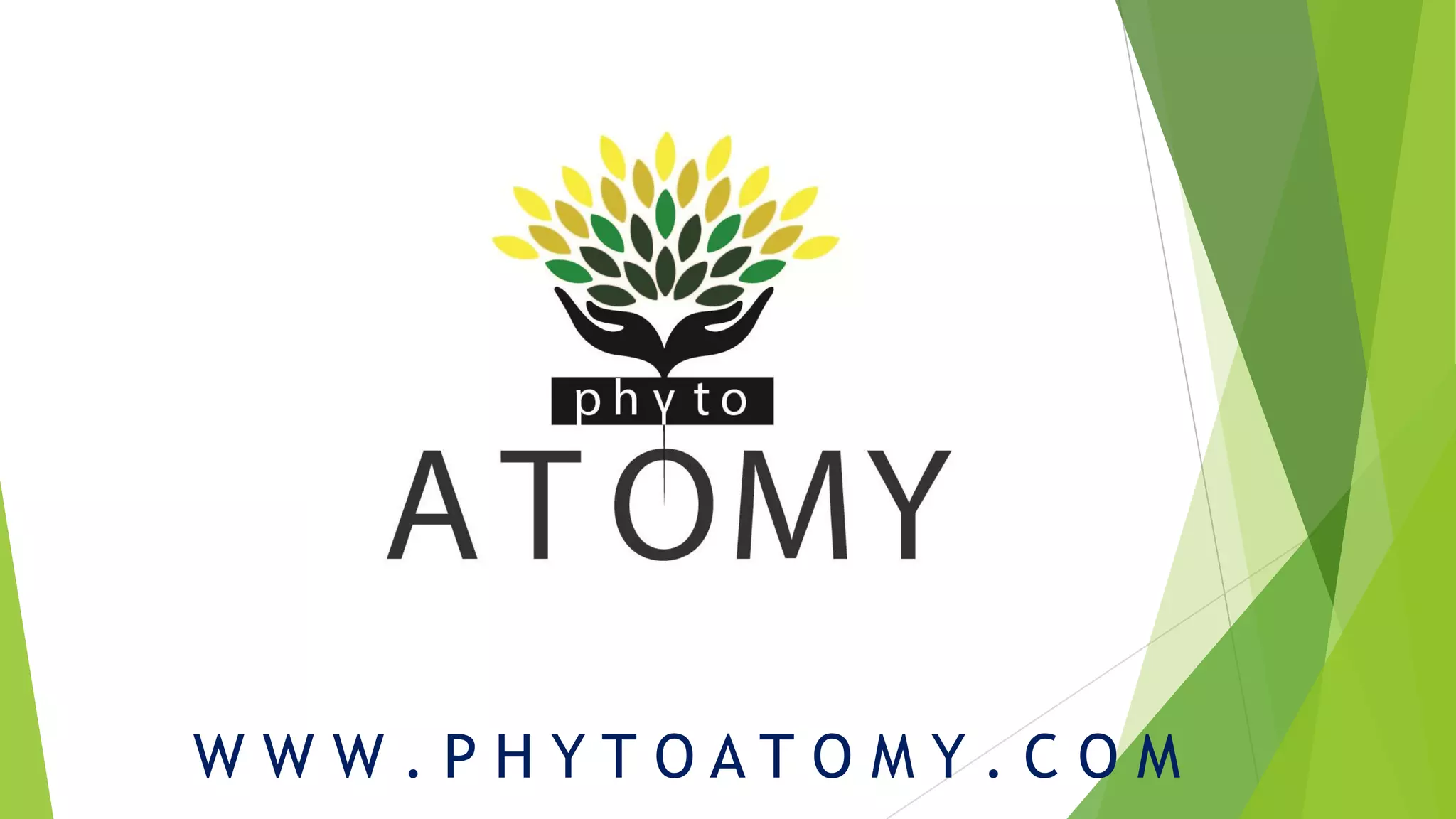 Phyto-Atomy-Business-Plan | PDF