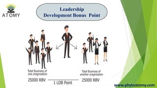 Phyto-Atomy-Business-Plan | PDF