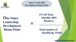 Phyto-Atomy-Business-Plan | PDF