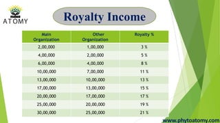 Phyto-Atomy-Business-Plan | PDF