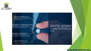 Phyto-Atomy-Business-Plan | PDF
