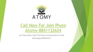 Phyto-Atomy-Business-Plan | PDF