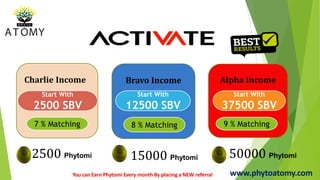 Phyto-Atomy-Business-Plan | PDF