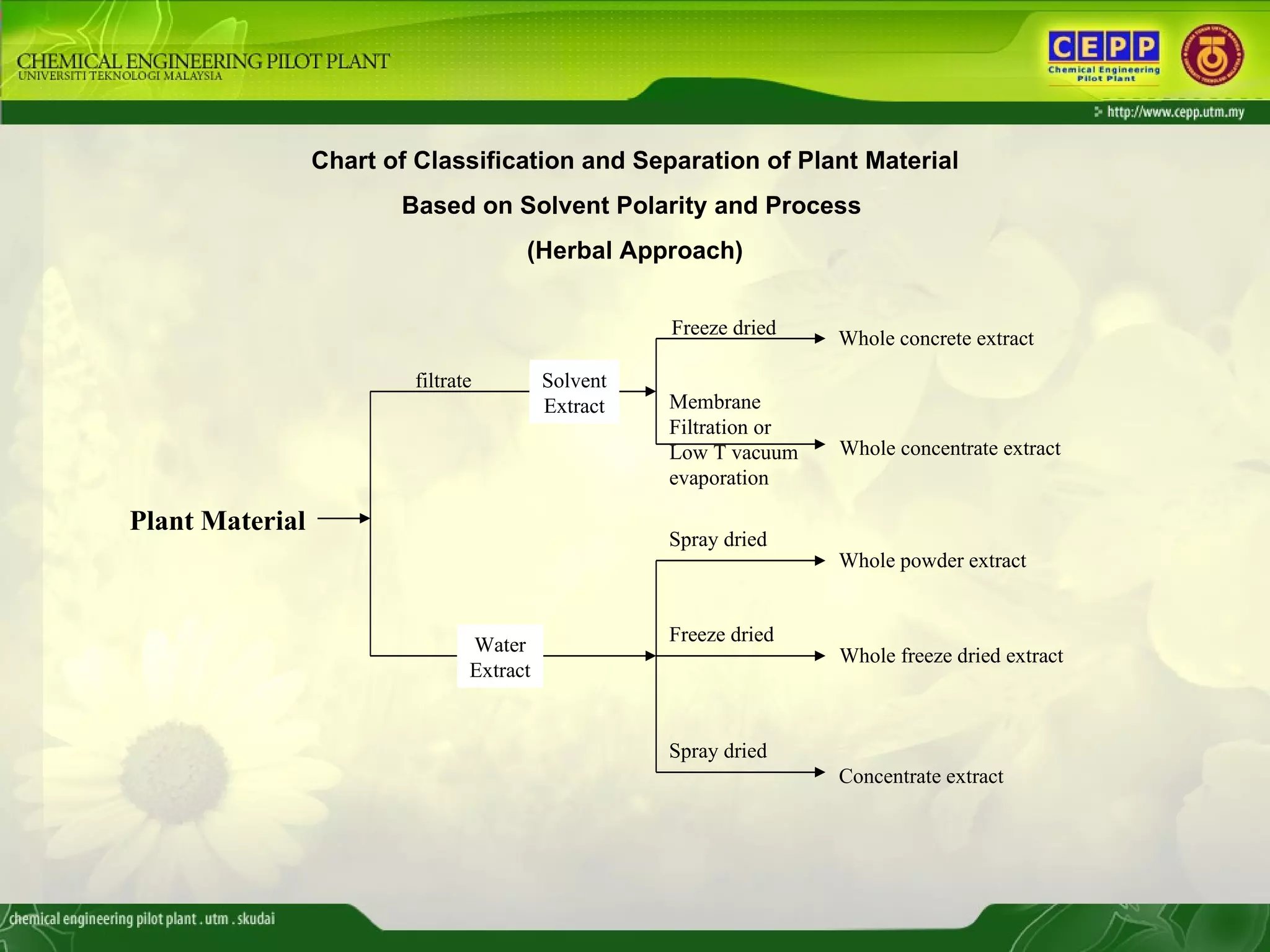 Phytochemical Processing | PPT