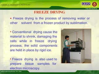 Phytochemical Processing | PPT
