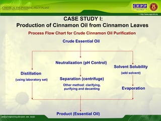 Phytochemical Processing | PPT