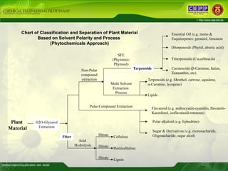 Phytochemical Processing | PPT