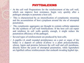 Comprehensive Insights into Plant Defense Mechanisms: Phytoalexins and ...