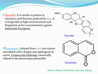Phytoalexins ptt by AARIF | PPTX