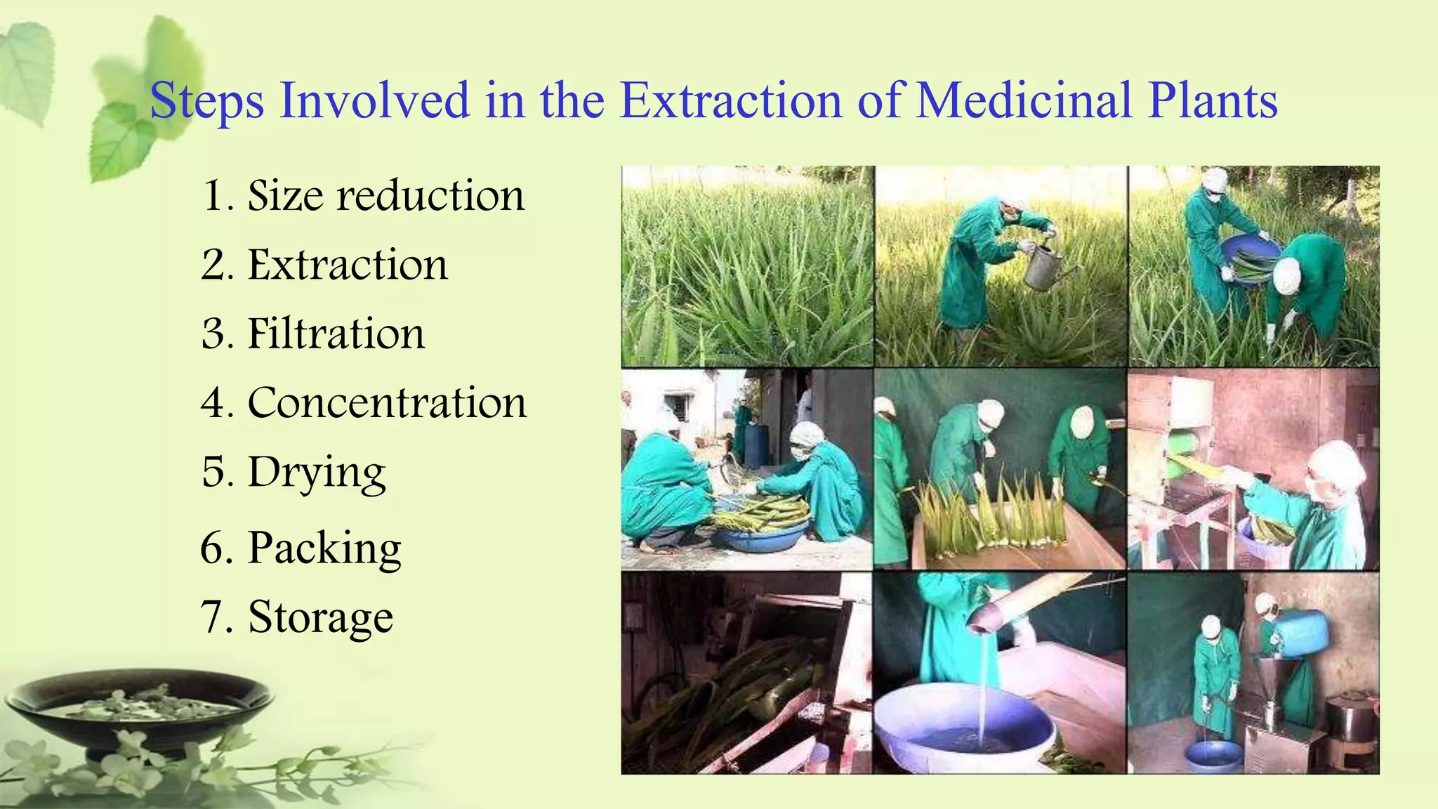 Phytochemical screening | PPTX