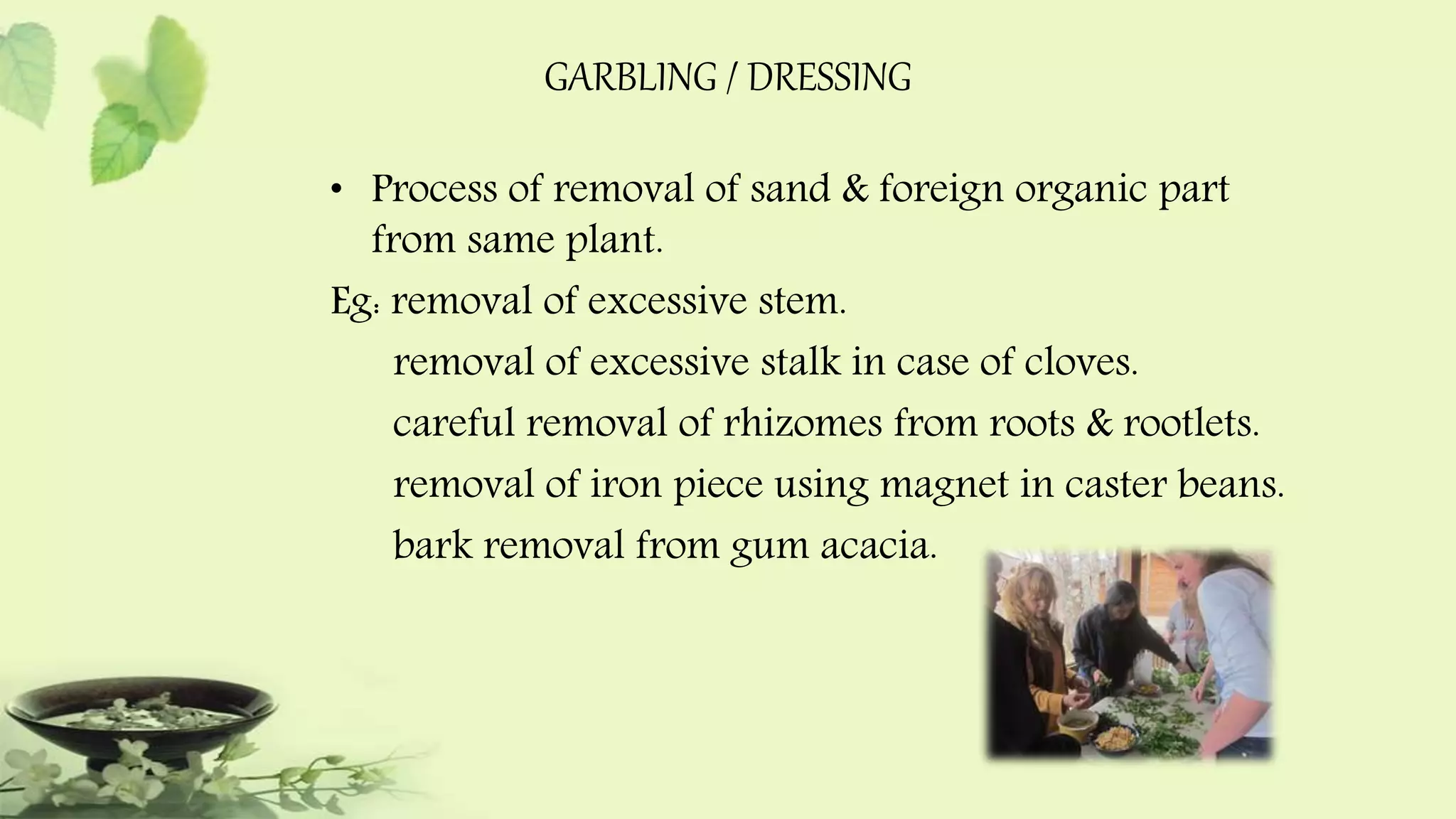Phytochemical screening | PPTX