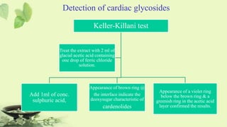 Phytochemical screening | PPTX