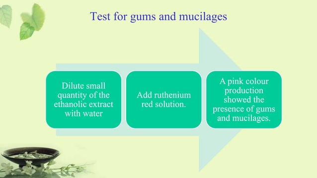 Phytochemical screening | PPTX