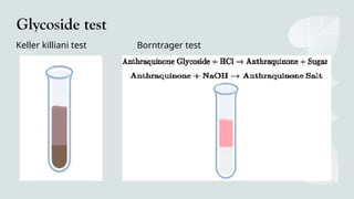 phytochemical testing methodologies and principle for preliminary ...