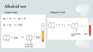 phytochemical testing methodologies and principle for preliminary ...
