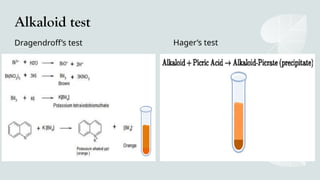phytochemical testing methodologies and principle for preliminary ...