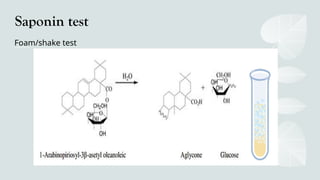 phytochemical testing methodologies and principle for preliminary ...