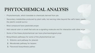 phytochemical testing methodologies and principle for preliminary ...