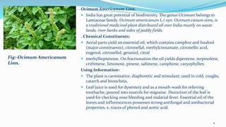 Phytochemical characterization & antimicrobial assay of some indigenous medicinal plants | PPT