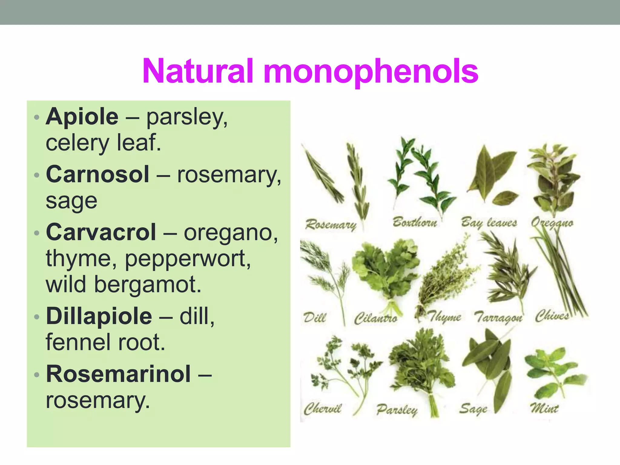 Phytochemicals | PPTX | Healthy Cooking and Eating | Food & Drink
