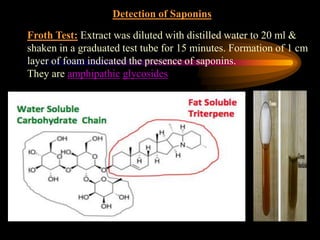 Phytochemical screening | PPT