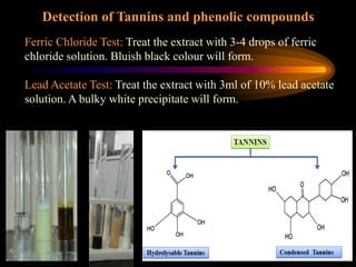 Phytochemical screening | PPT