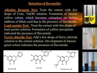 Phytochemical screening | PPT