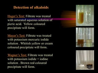 Phytochemical screening | PPT