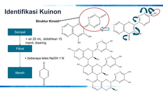 Phytochemical screening.pptx