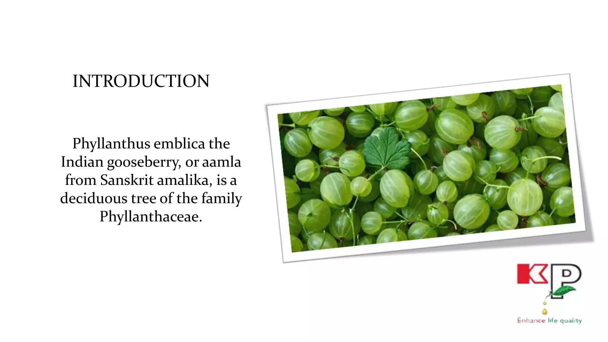 Phytochemicals in amla | PPTX