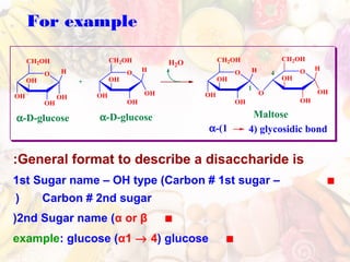 Phytochemistry carbohydrate 1 | PPT