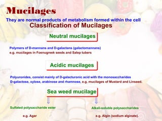 Phytochemistry of carbohydrates ii | PPT