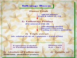 Phytochemistry essential oils intro | PPT
