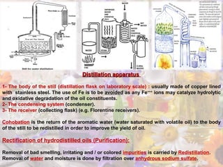 Phytochemistry essential oils intro | PPT