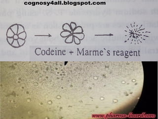 Phytochemistry microcrystallization | PPT