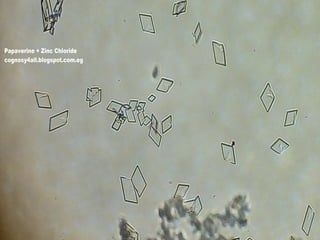 Phytochemistry microcrystallization | PPT