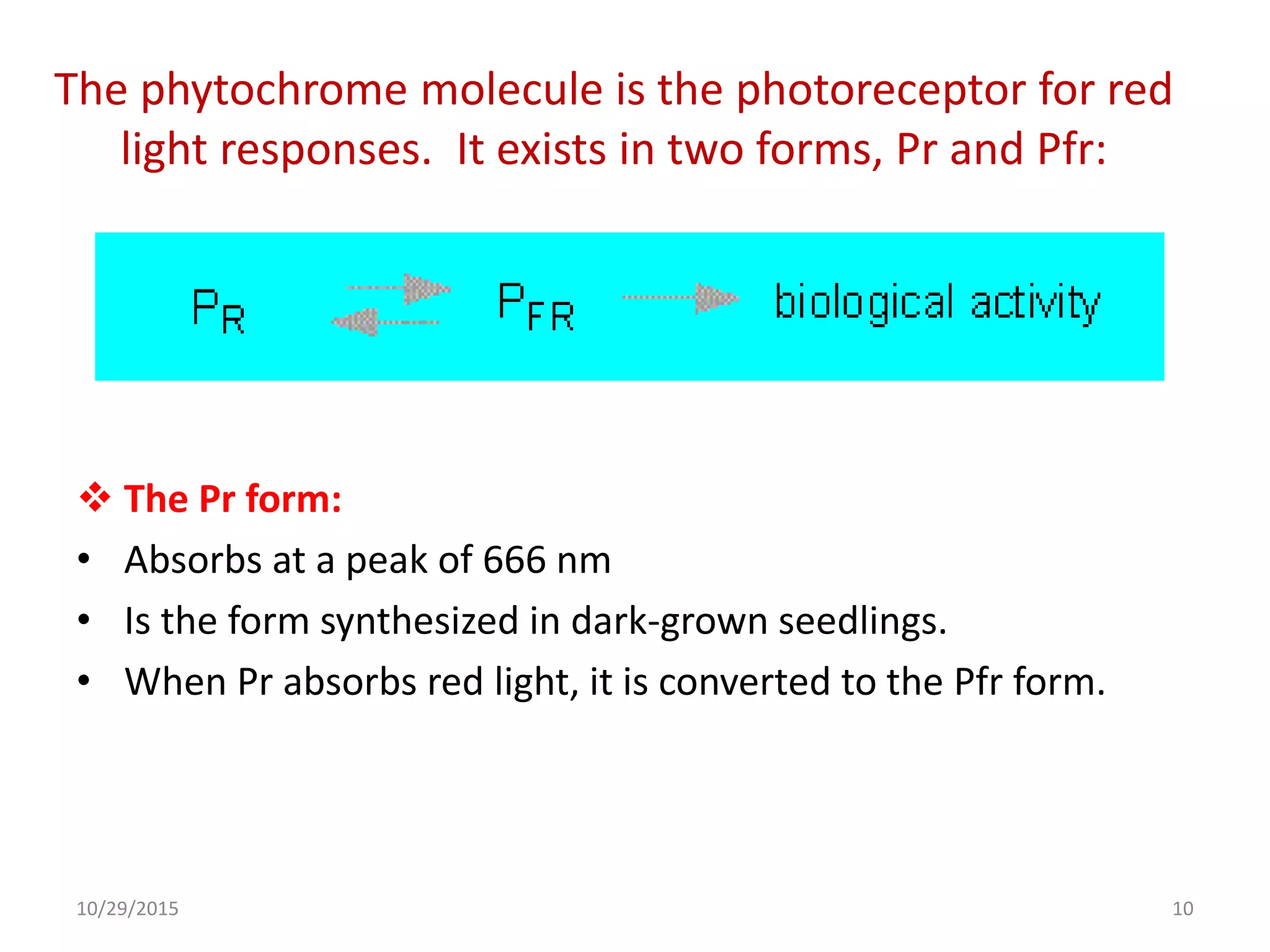 Phytochrome | PPTX