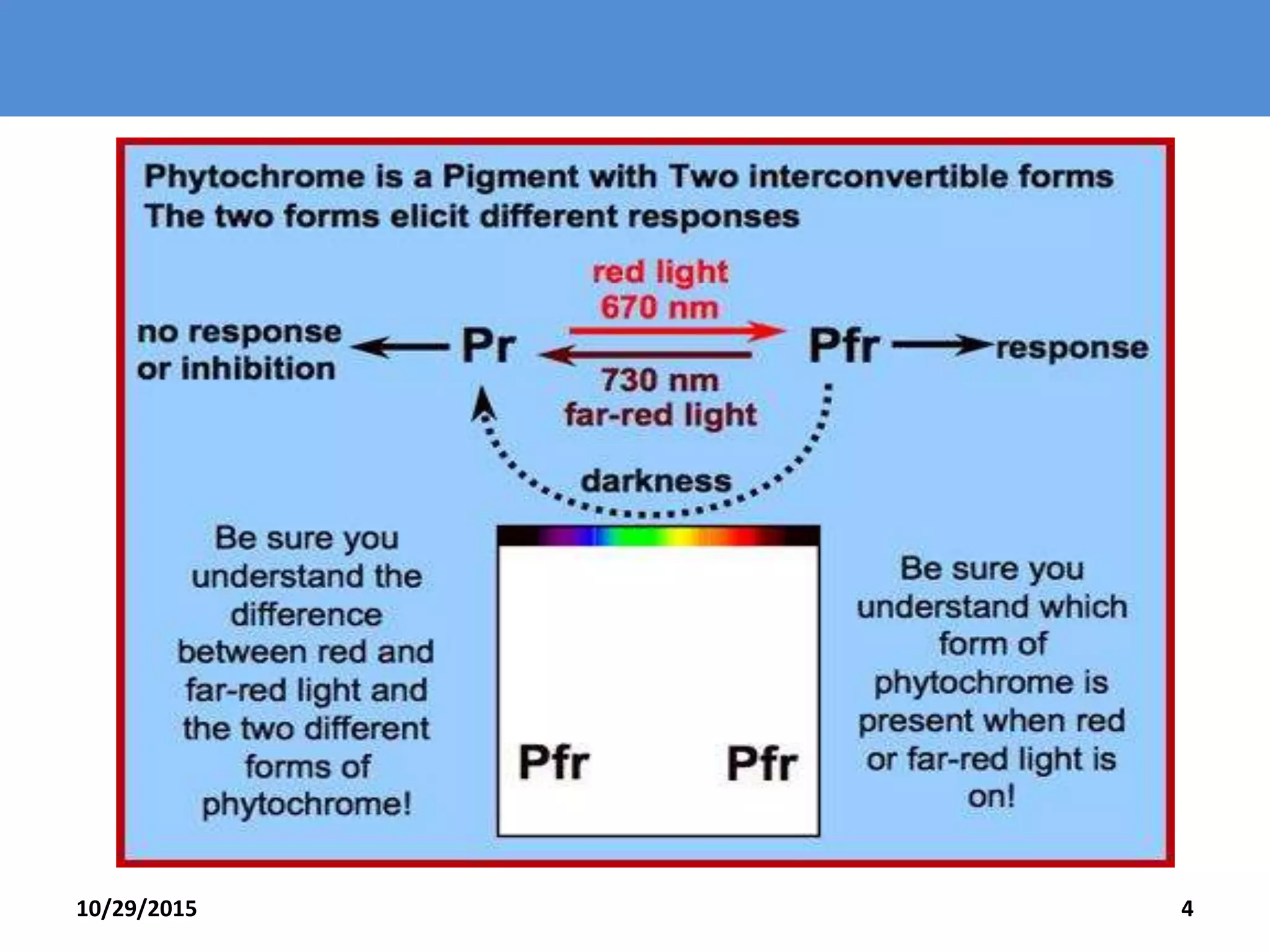Phytochrome | PPTX