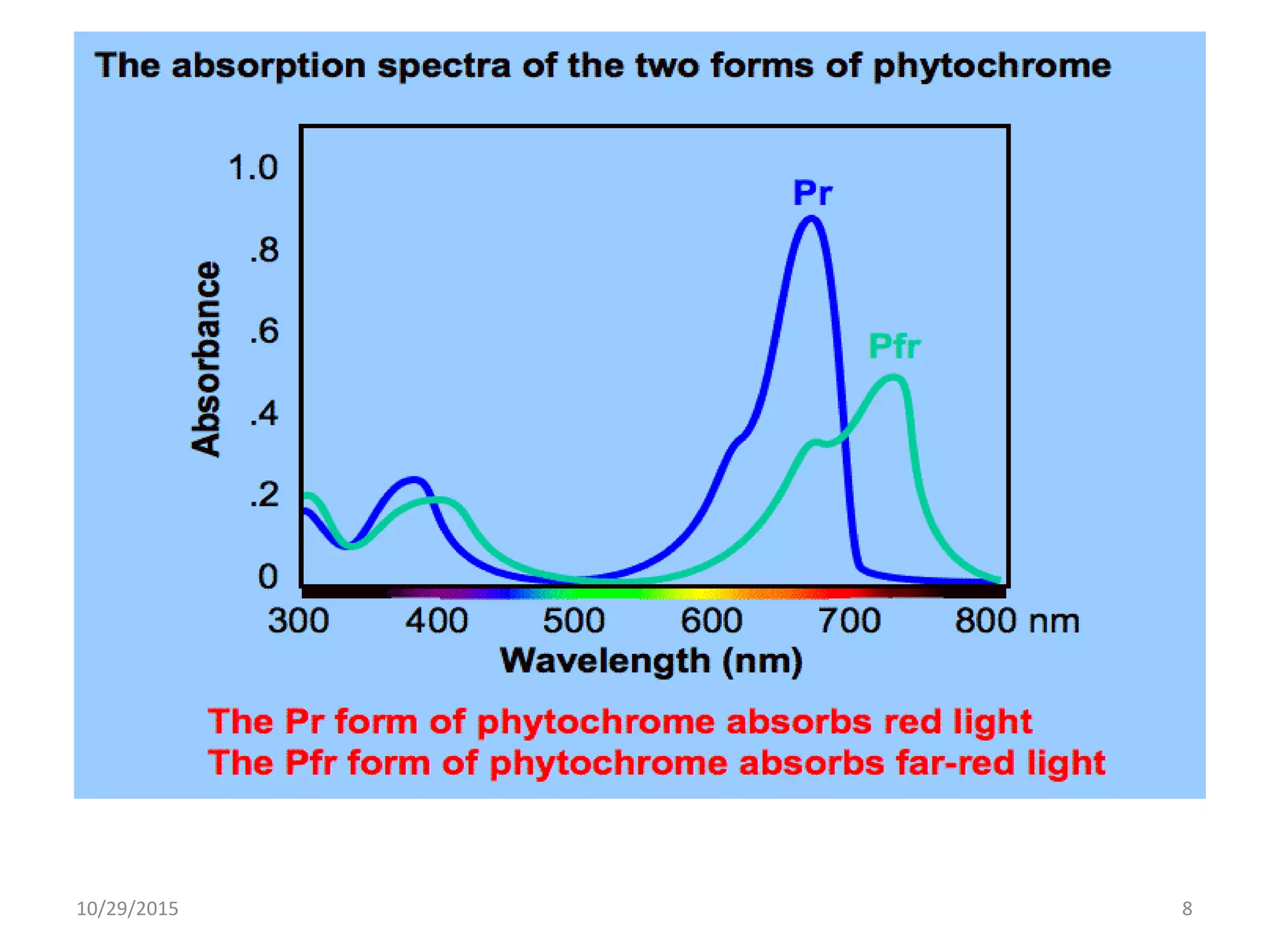 Phytochrome | PPTX